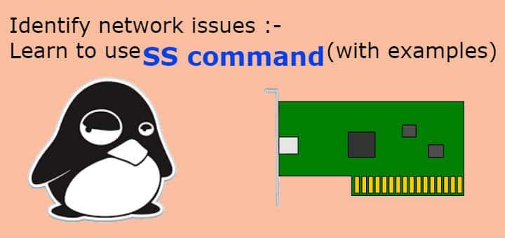 Identify Network Issues Learn To Use Ss Command With Examples Linuxtechlab