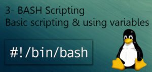 3- BASH Scripting - Basic scripting & using variables in script - LinuxTechLab
