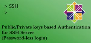 Setting up SSH Server for Public/Private keys based Authentication (Password-less login ...