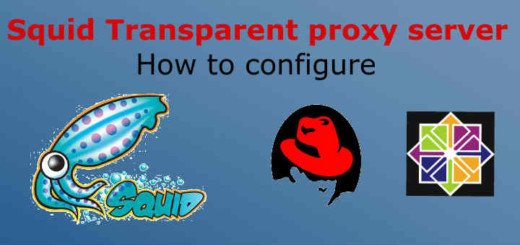 Squid Transparent proxy server : How to configure - LinuxTechLab