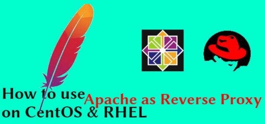 Apache Reverse Proxy configuration: Step by Step - LinuxTechLab Apache Reverse Proxy configuration: Step by Step - LinuxTechLab
