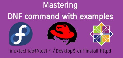 Mastering DNF command with examples - LinuxTechLab