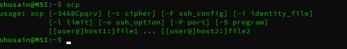 How To Use Scp And Rsync Command Line Options To Backup Your System Linuxtechlab