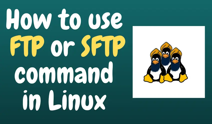 How To Use FTP Or SFTP In Linux Command Line Interface LinuxTechLab